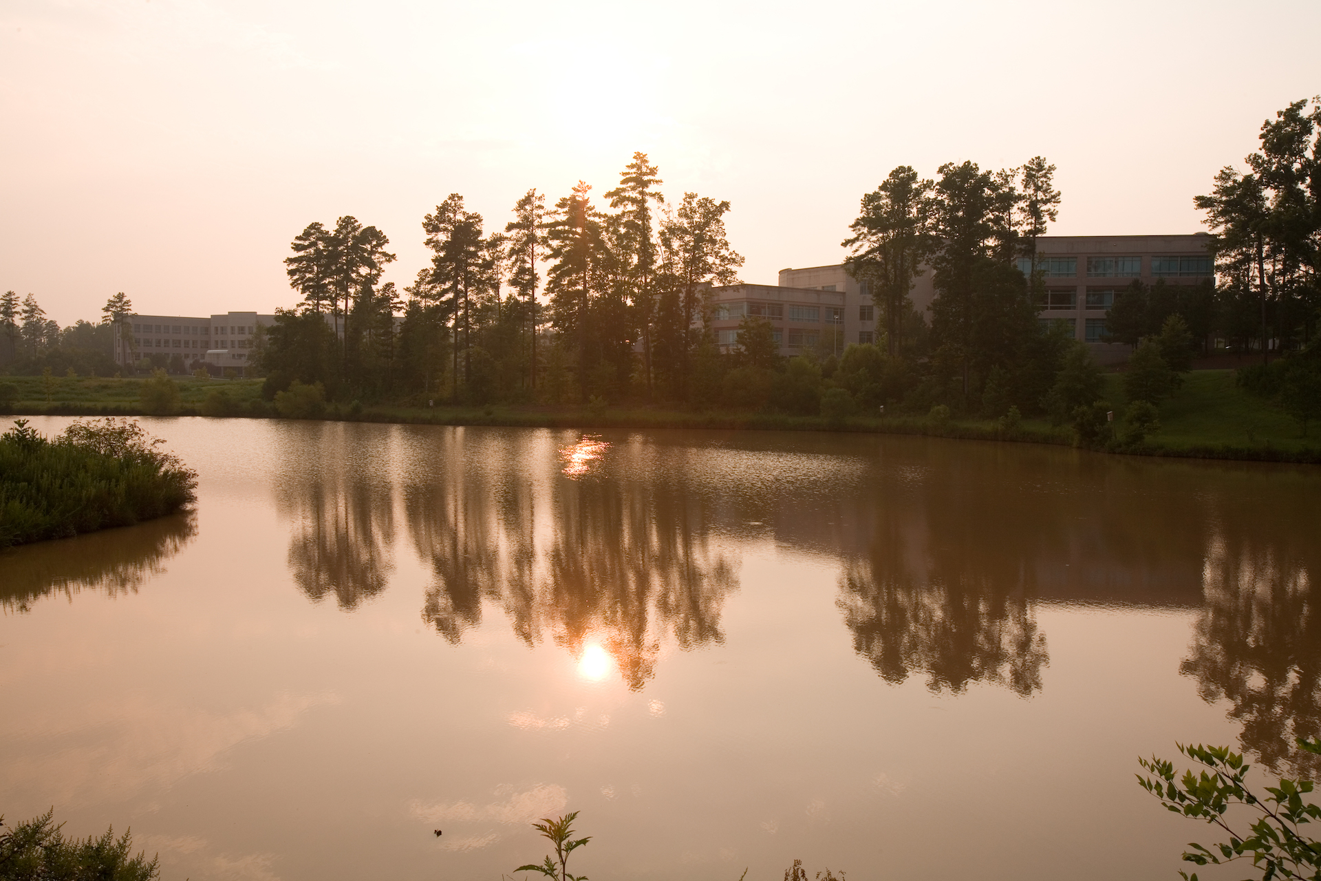 Visiting RTP | Research Triangle Park